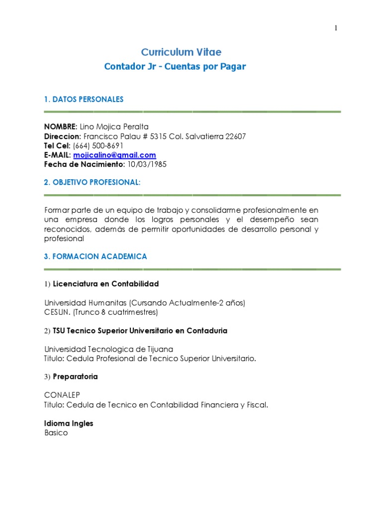 Curriculum Vitae Contador JR | Descargar gratis PDF | Contabilidad | Business