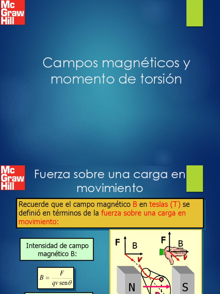 Momento de Torsion | PDF | Campo magnético | Magnetismo