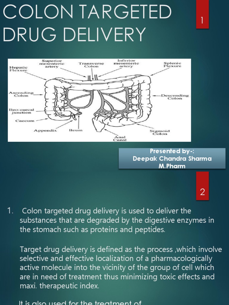 Colon Targeted Drug Delivery Overview | PDF | Gastrointestinal Tract ...