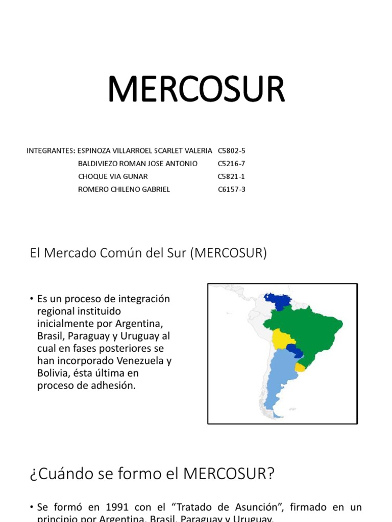 Introducción al Mercado Común del Sur (MERCOSUR): Objetivos ...