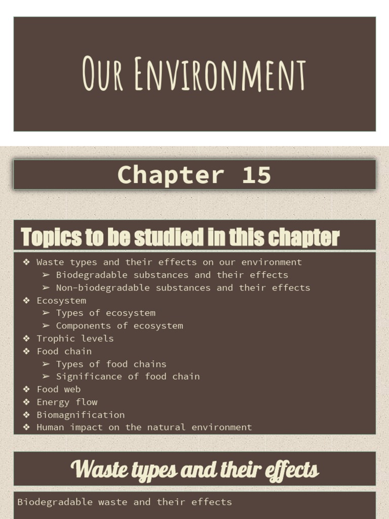 Project On Our Environment For Class 10 | PDF | Food Web | Ecosystem