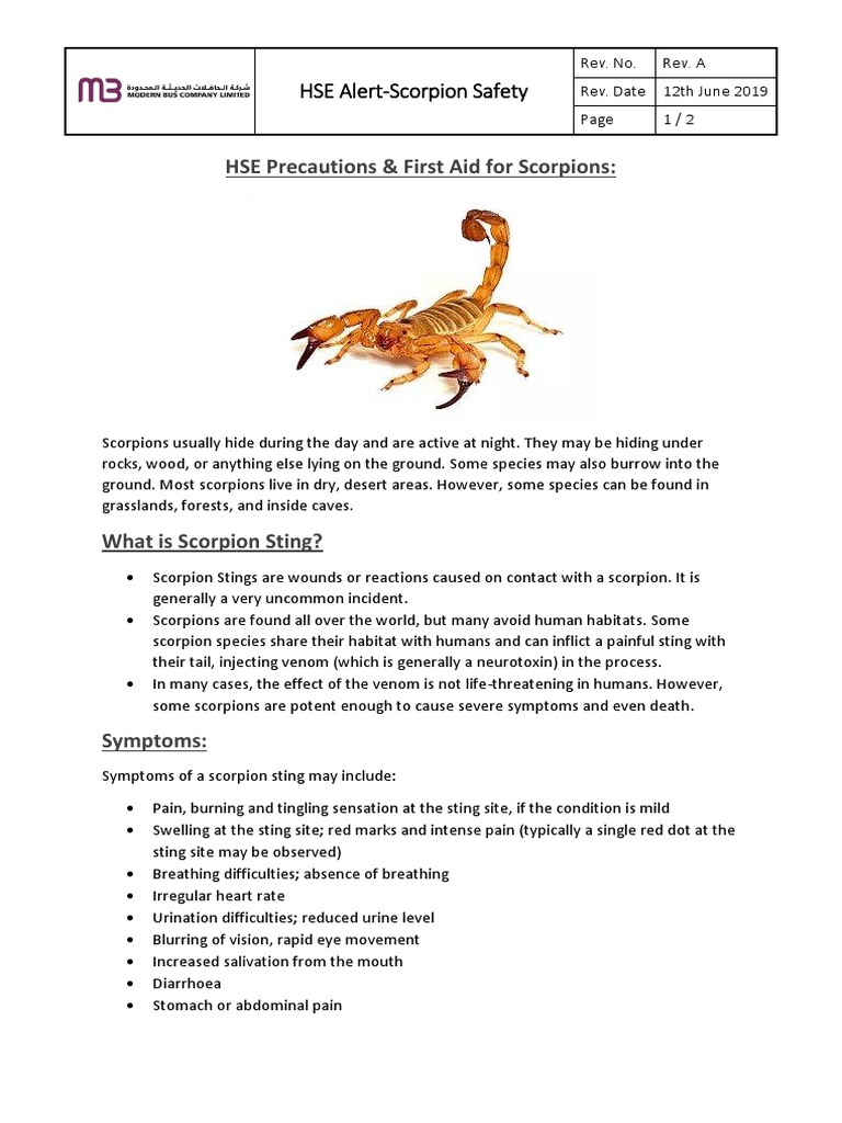 HSE Alert-Scorpion Safety | PDF | Venom | Pain