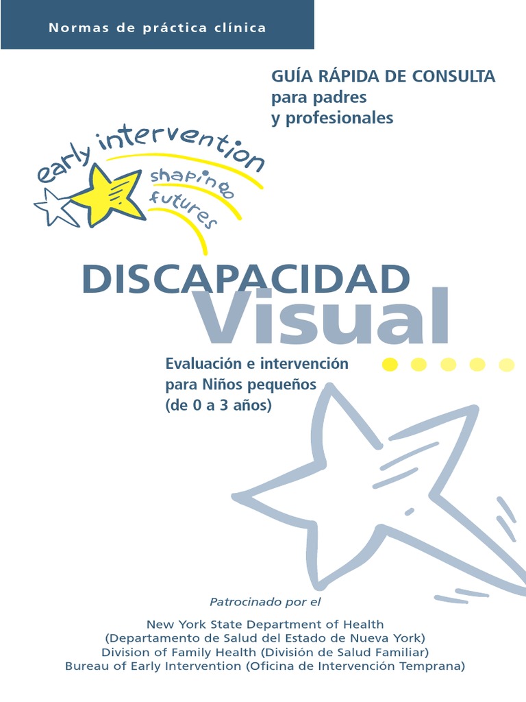 Discapacidad Visual - Guía Rápida | PDF | Ojo humano | Invalidez