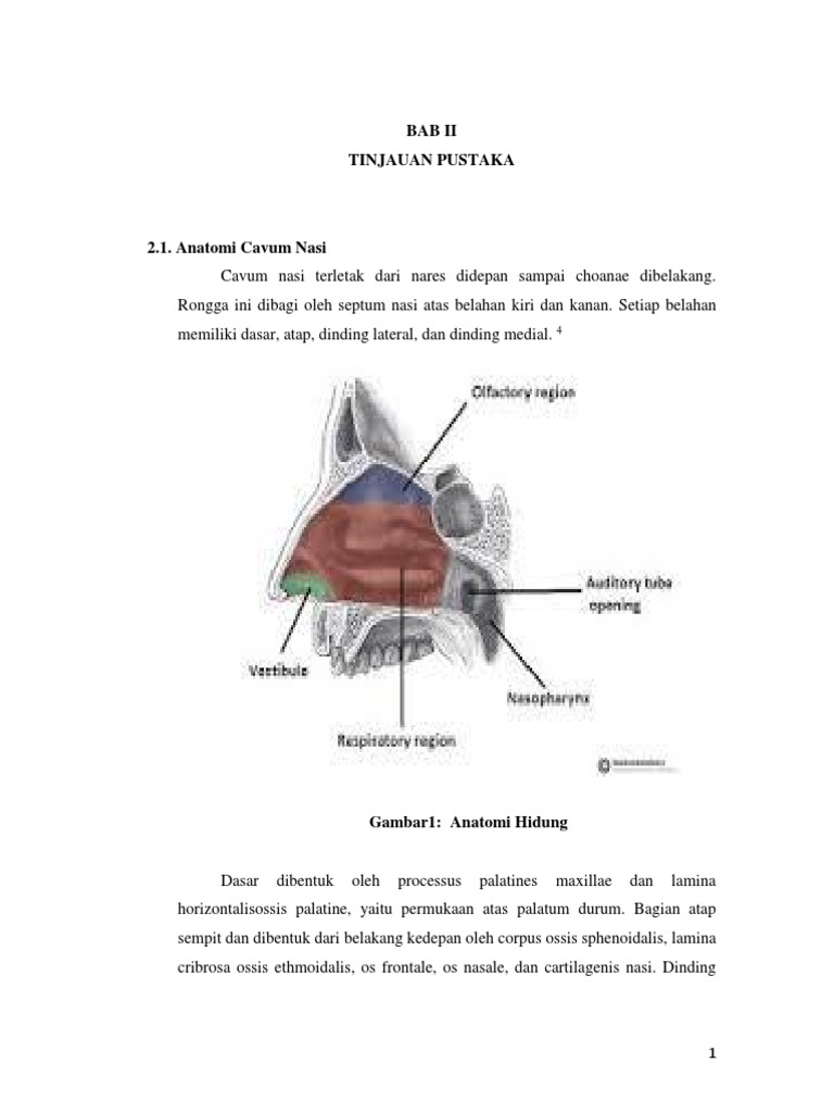 Vestibulitis | PDF