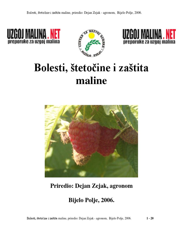 Bolesti I Stetocine Maline | PDF