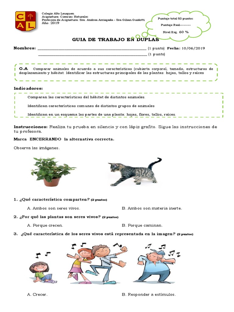 Hoja De Trabajo Sobre Partes De Plantas