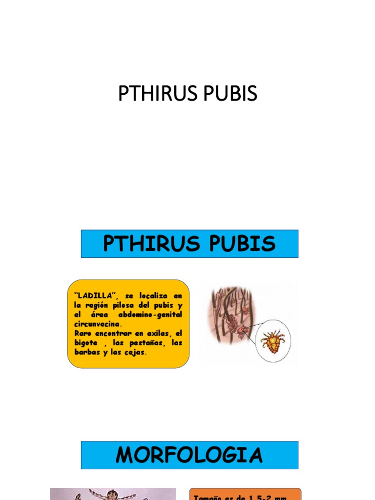 Pthirus Pubis | PDF