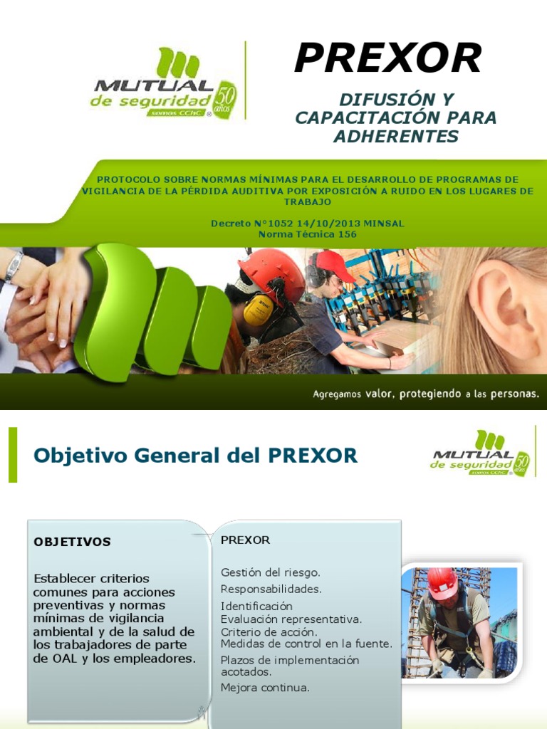 Manual de Procedimientos para La Gestion de Prevencion de Riesgos PDF 21 MB | PDF | Vigilancia ...