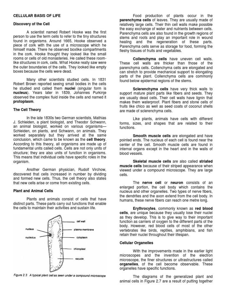 Cellular Basis of Life | PDF | Cell (Biology) | Cell Nucleus