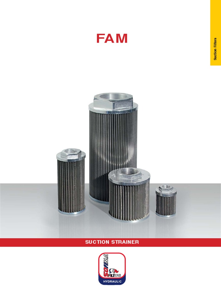 Fam Plan | PDF | Viscosity | Electrical Resistance And Conductance
