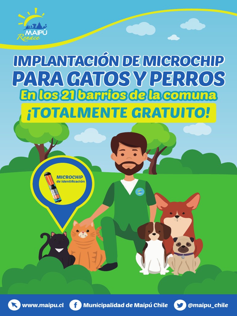 Implantacion Microchip Mascotas | PDF