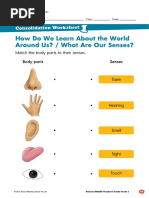 P4 SCIENCE - Plants | PDF | Plants | Seed