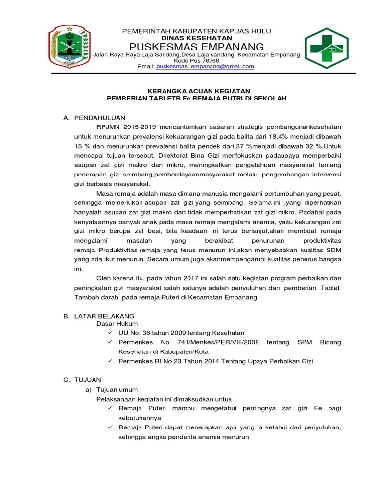KAK Pemberian Tablet Fe Remaja Putri Di Sekolah | PDF