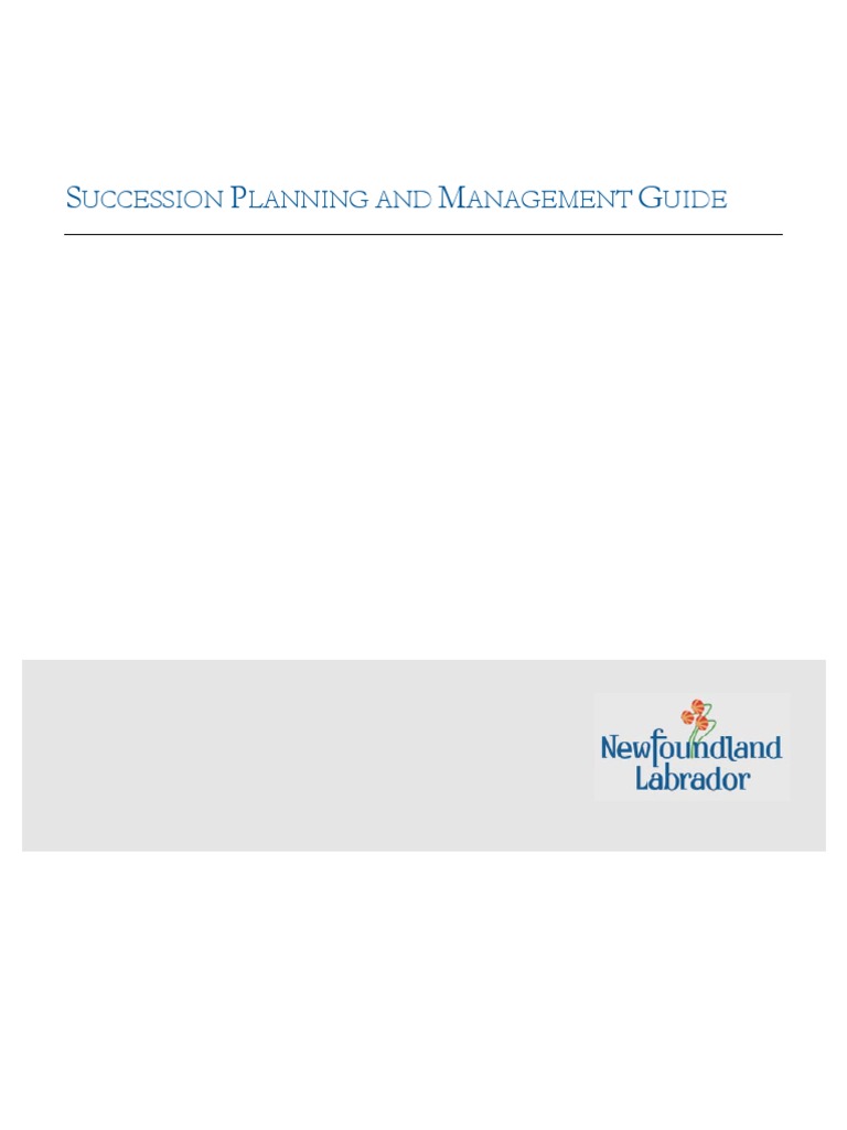 Succession Planning Guide 2008 | PDF | Succession Planning | Competence ...
