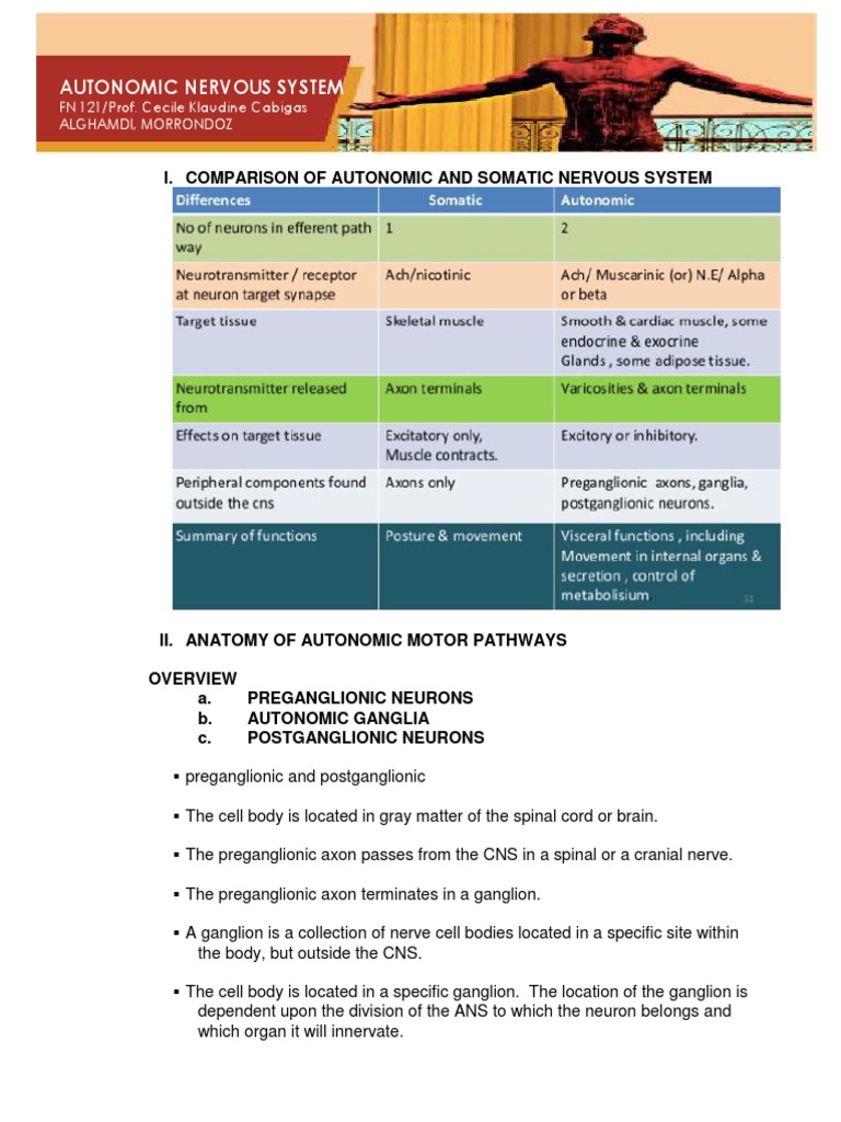 Study Guide 5 | PDF | Ear | Autonomic Nervous System