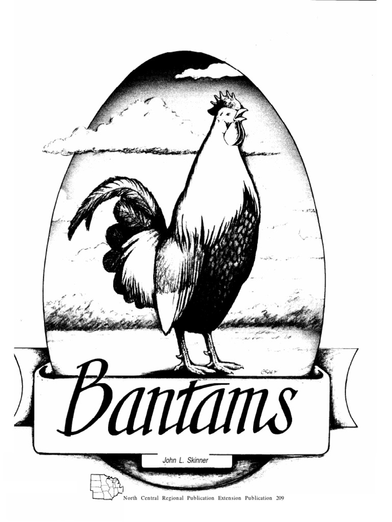 Bantam Basics: A Guide to Selecting, Housing, Feeding and Breeding ...