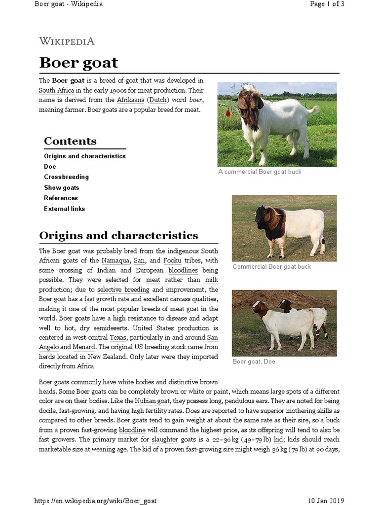 Boer Goat - Wikipedia | PDF | Breeding | Livestock