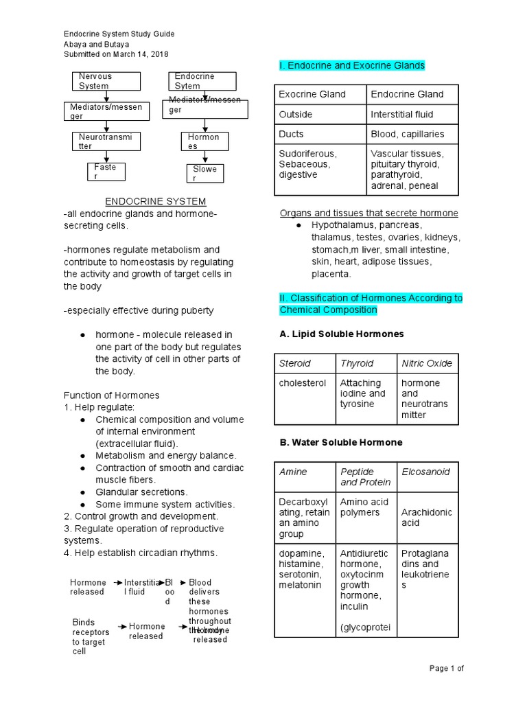 Endocrine System Study Guide | PDF | Hormone | Endocrine System
