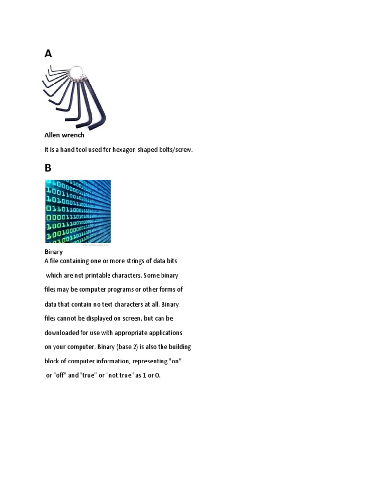 CHS Dictionary | PDF | Computer Data Storage | Random Access Memory