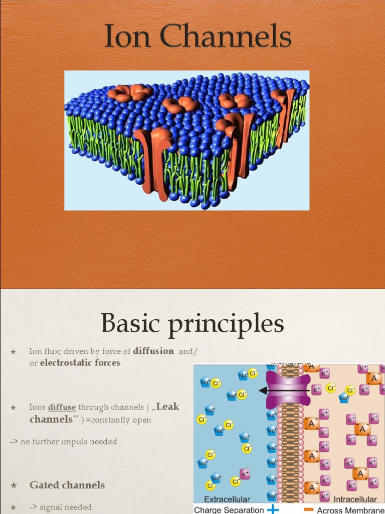 Ion Channels | Download Free PDF | Ion Channel | Membrane Potential