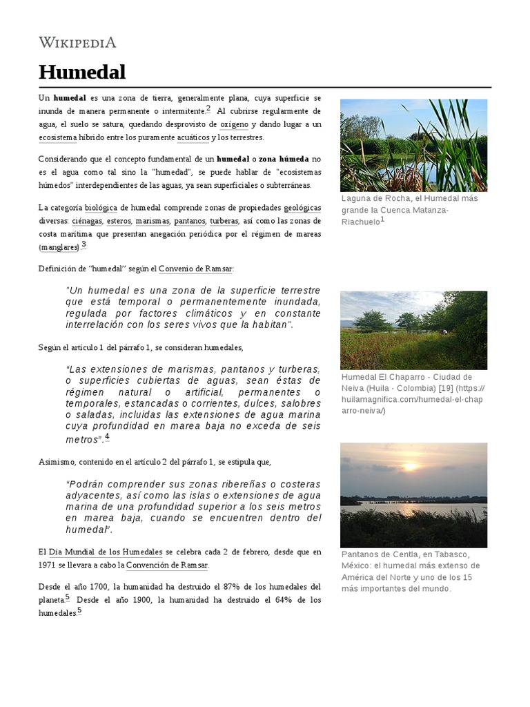 Humedal | PDF | Humedal | Biogeoquímica