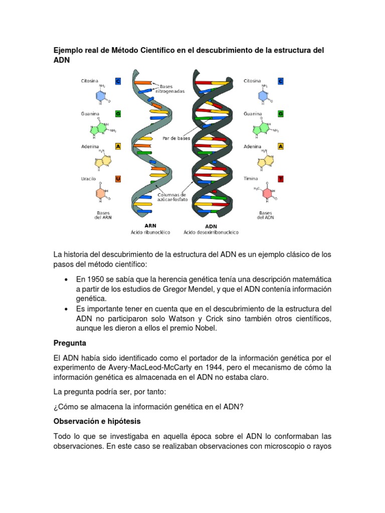 Metodo Cientifico | PDF | Francis Crick | Adn