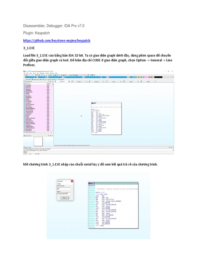 Hæ á Ng Dáº N Dã Ng Ida Pdf