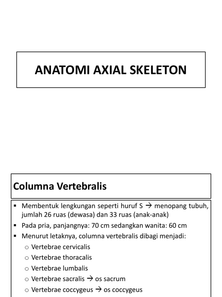Anatomi Axial Skeleton 2018 | PDF