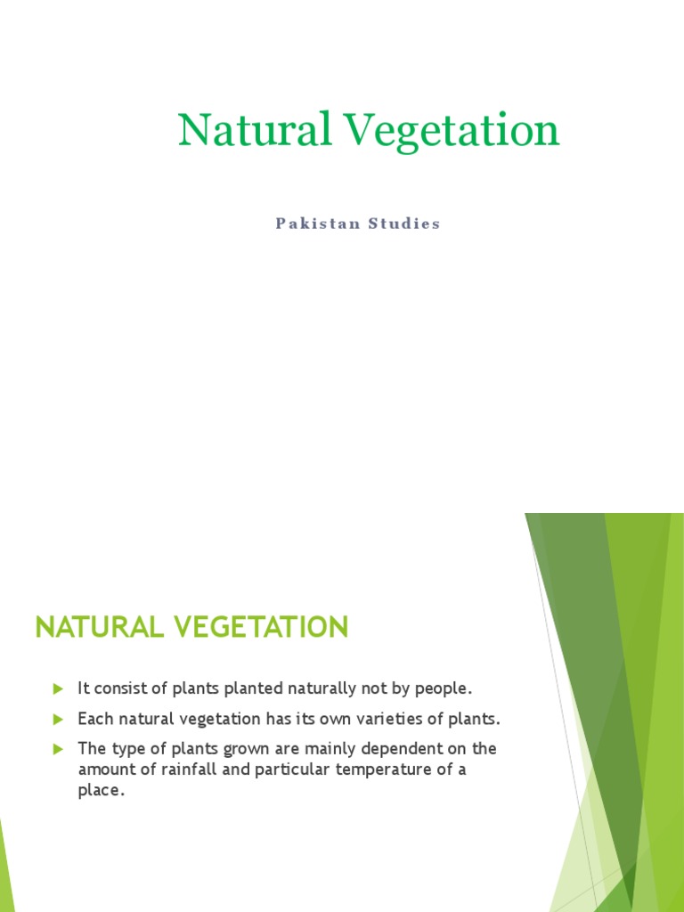Types of Natural Vegetation in Pakistan | PDF | Forests | Mangrove
