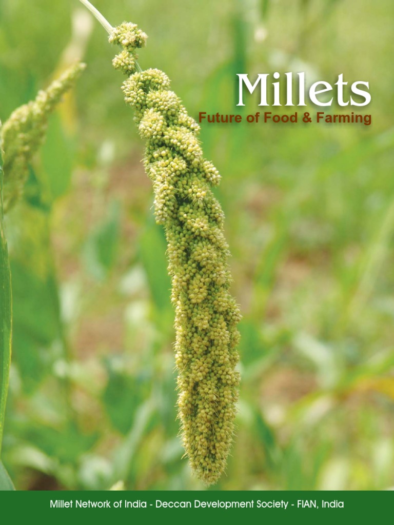 Millets: Future of Food & Farming | PDF | Rice | Agriculture