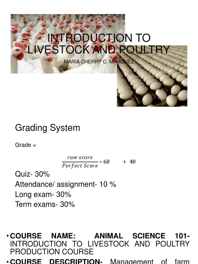 Introduction To Poultry | PDF | Chicken | Dairy Cattle