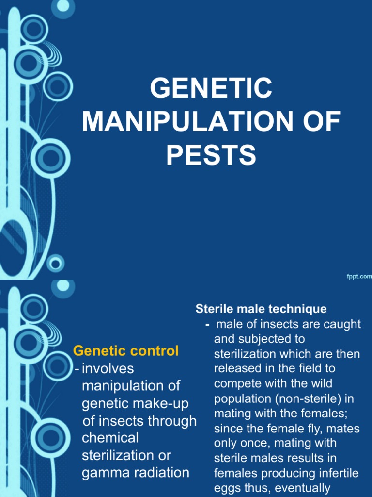 Genetic Pest Control Techniques | PDF | Pheromone | Insects