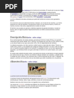 Ciclo de Vida de la Vaca para Niños | PDF | Vacas | Leche