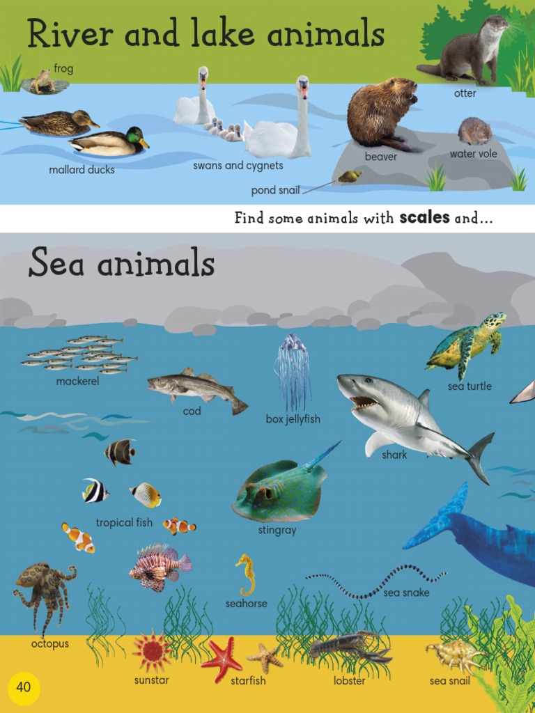 DK.1000.Useful - Words.build - Vocabulary.and - Literacy.skills ...