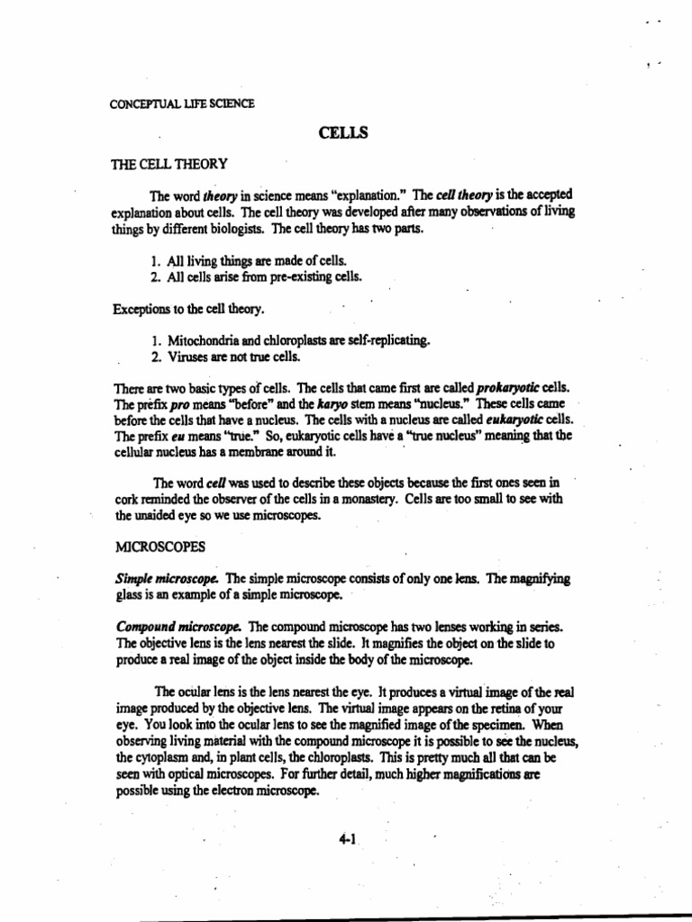 Cells PDF | PDF | Endoplasmic Reticulum | Cell Membrane