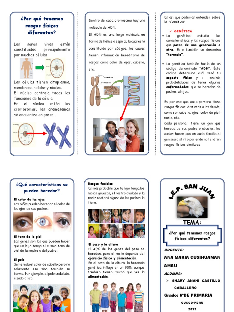 Rasgos Fisicos | PDF | Gene | Herencia