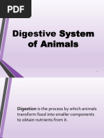 Ruminant and Pseudo-Ruminant Digestive System | PDF | Home & Garden ...
