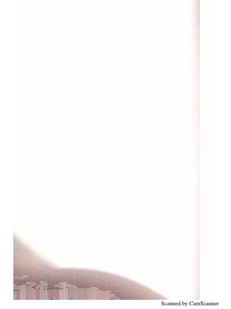 A Blank Document Scanned Multiple Times by CamScanner | PDF