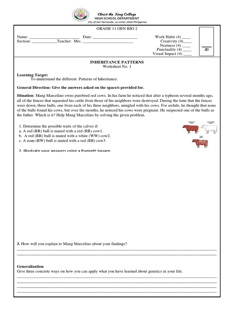 G11 Bio2 WS1 Inheritance Patterns | PDF | Cattle | Bovines