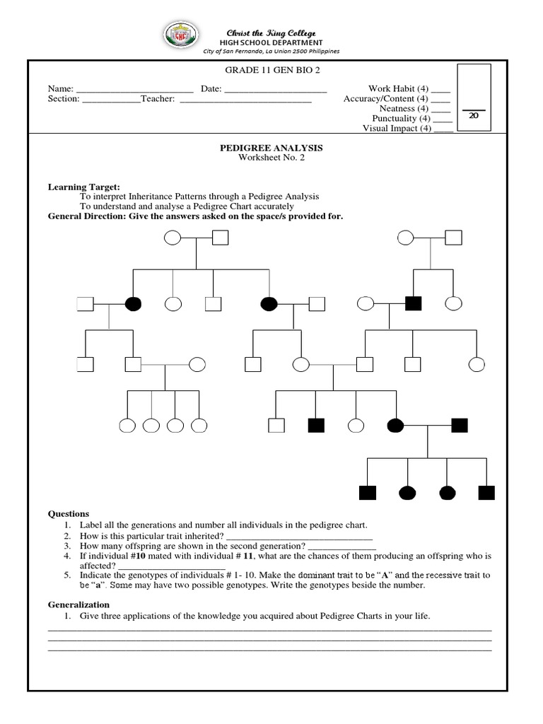 Grade 11 Pedigree Analysis Worksheet | PDF | Career & Growth | Business