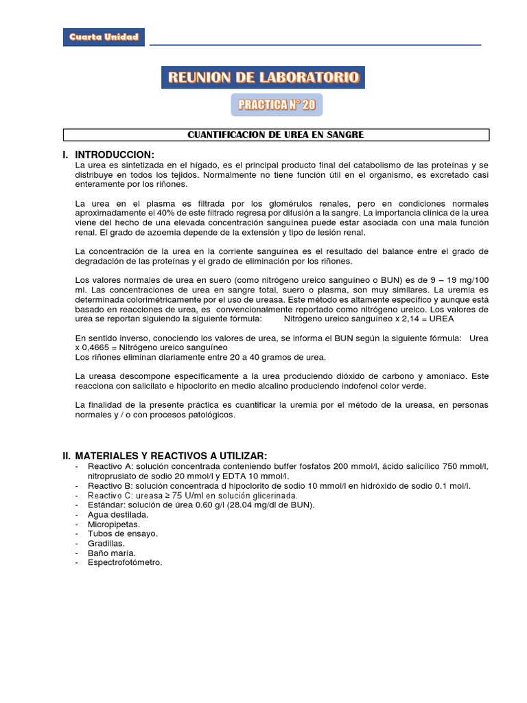 Practica 20. Cuantificacion de Urea | PDF | Urea | Sangre