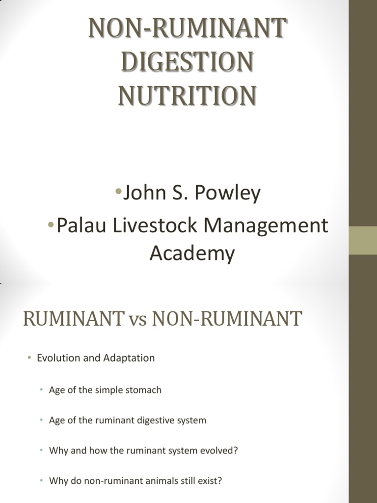 Non-Ruminant Digestive Systems Explained | PDF | Digestion | Nutrients