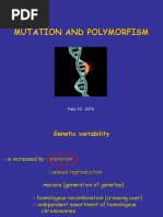 Sedilix-Rx Linctus: What Is in This Leaflet | PDF | Allergy | Dose ...