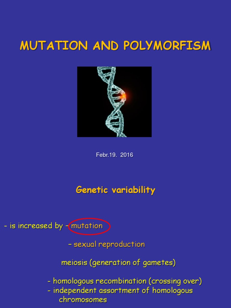 Mutation and Polymorphism | PDF | Dna Repair | Mutation