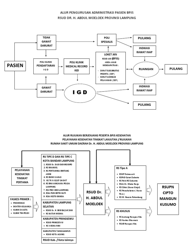 Alur Pengurusan Administrasi Pasien Bpjs | PDF