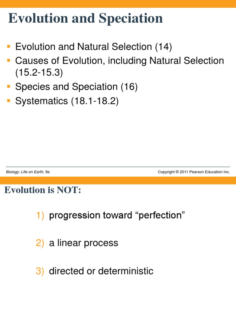 Evolution and Speciation | PDF | Natural Selection | Evolution