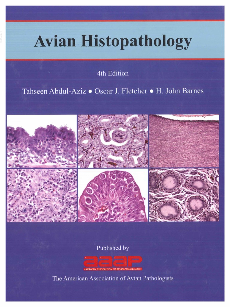 Avian Histophatology, 4th Edition (VetBooks - Ir) PDF | PDF | Bone ...