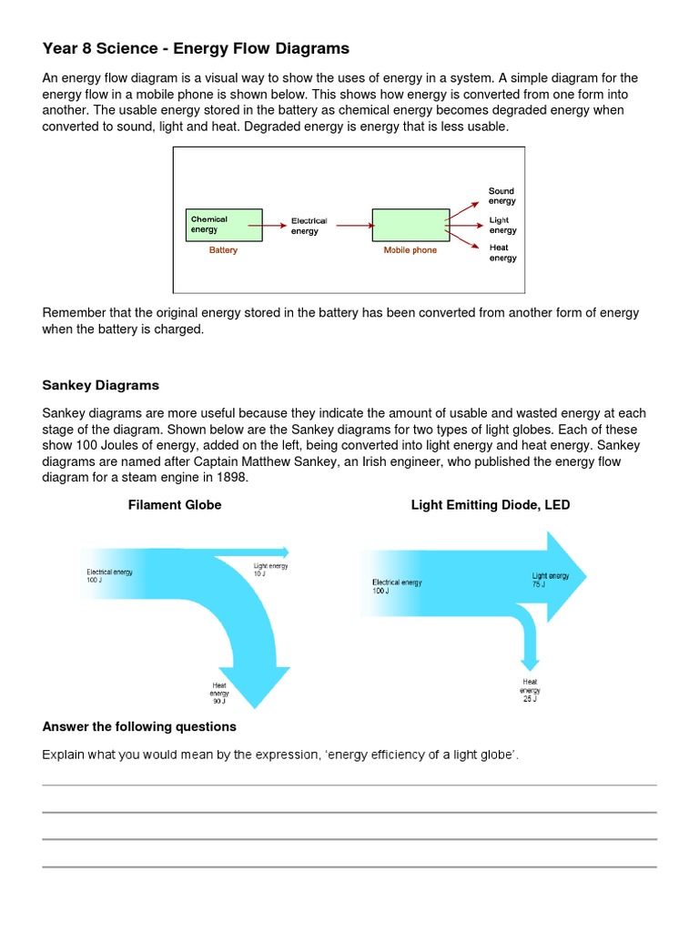 Simple Energy Flow Diagram Energy And Metabolism