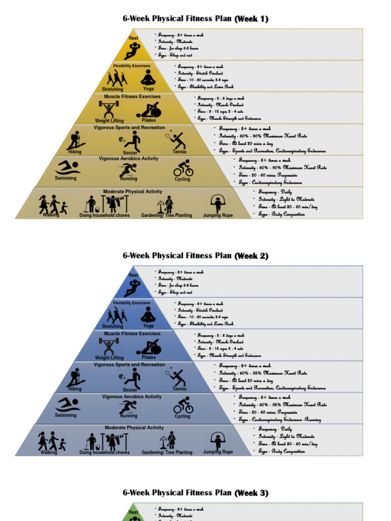 Physical Fitness Plan | PDF | Physical Fitness | Weight Training