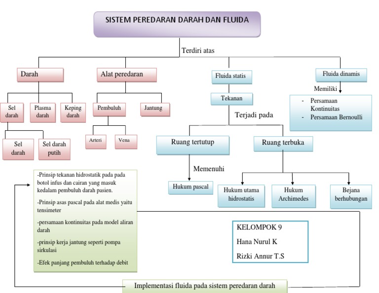 Peta Mind Map Sistem Peredaran Manusia - vrogue.co